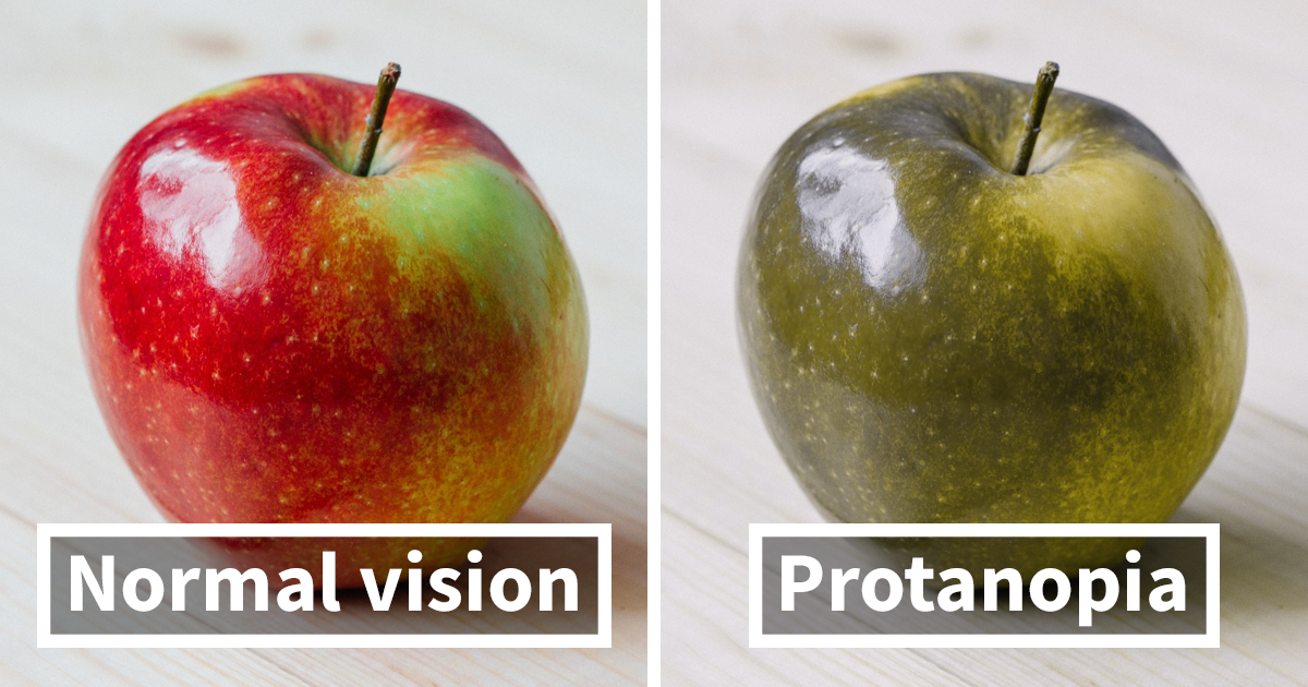 色盲・色弱・色覚異常とは？ 種類や見え方、遺伝や男女の確率、原因など｜Enjoy Colorful World
